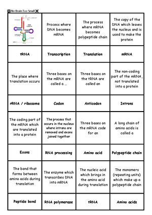 Life processes outline - No Brain Too Small BIOLOGY AS Demonstrate ...