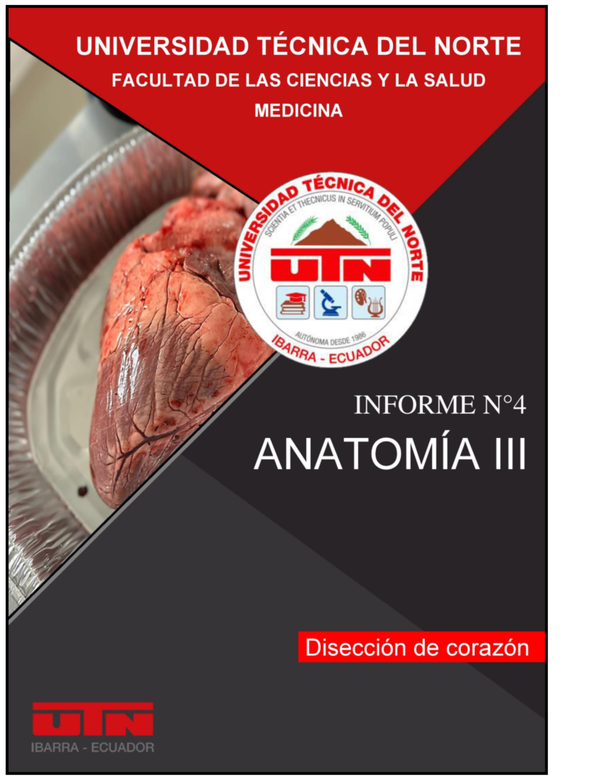 Informe de Práctica de Disección del Corazón - Med. Anat. III - Studocu