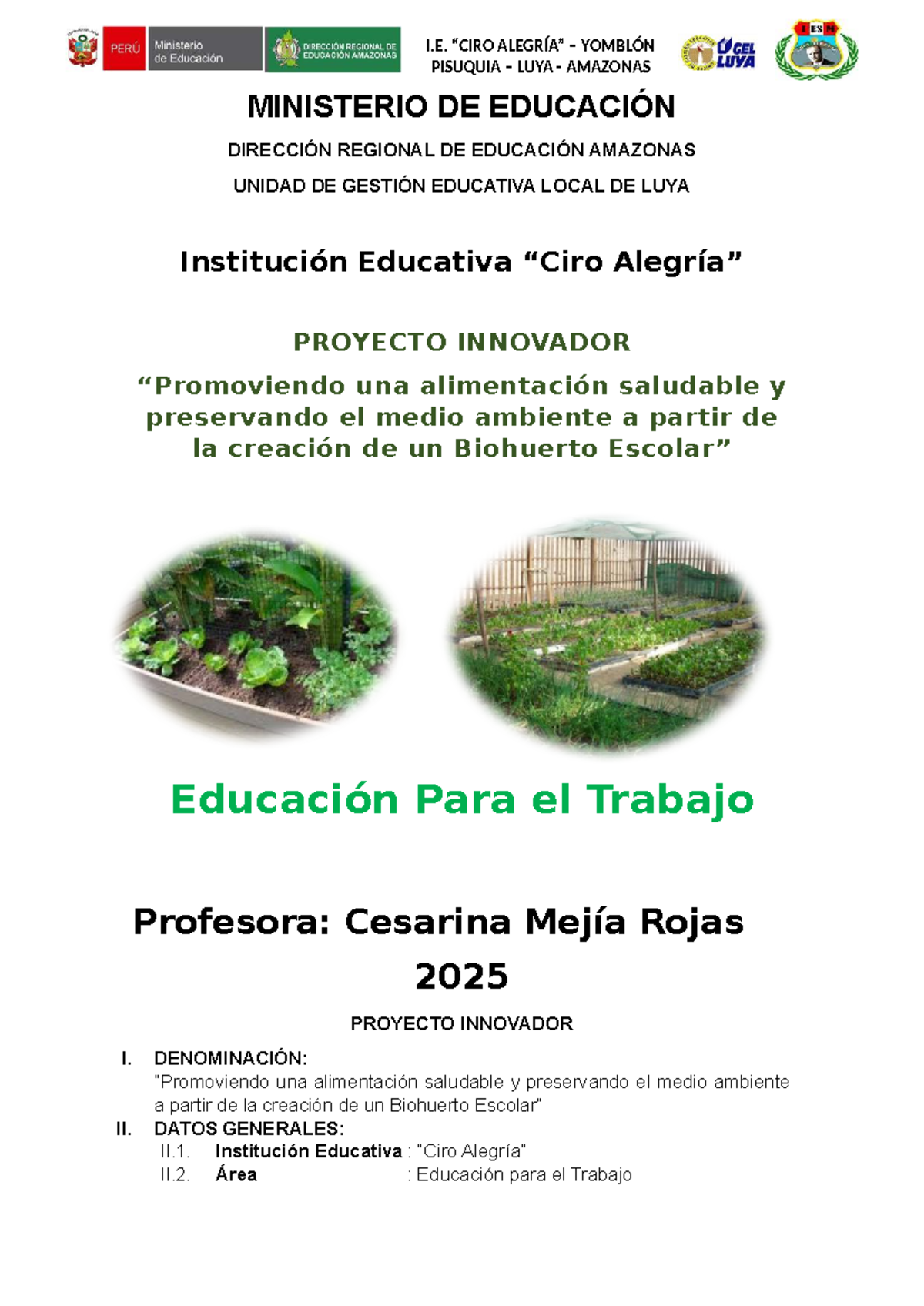 Proyecto Innovador de Biohuerto Escolar I.E. Yomblón Pisuquia 2025 ...