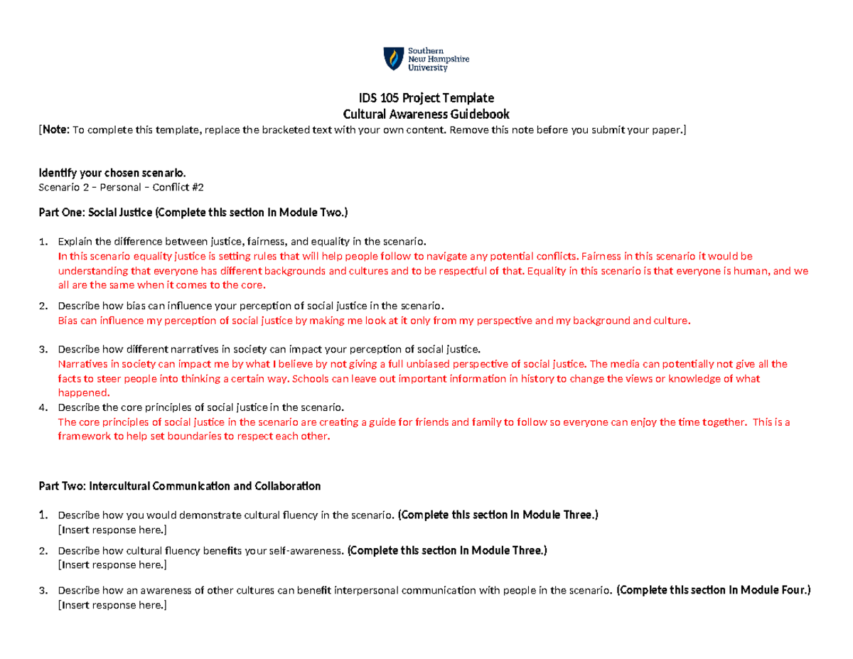 IDS 105 Project Template: Cultural Awareness & Social Justice Guide ...