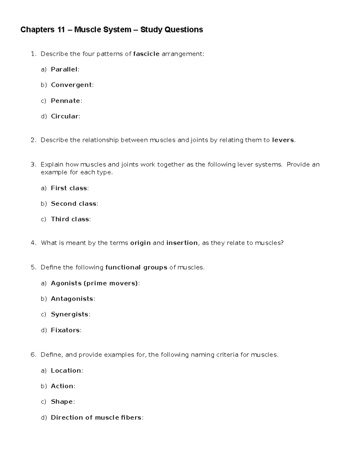 Chapters 11 - Muscle System: Study Q&A for Anatomy Exam Preparation ...