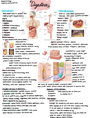 GRQ: Urinary System Overview and Key Concepts - Studocu