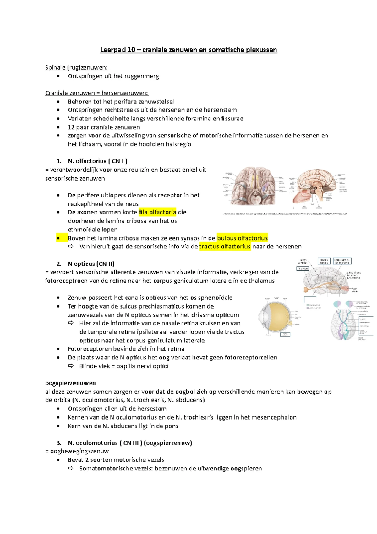Leerpad 10 - craniale zenuwen en somatische plexussen - Leerpad 10 ...