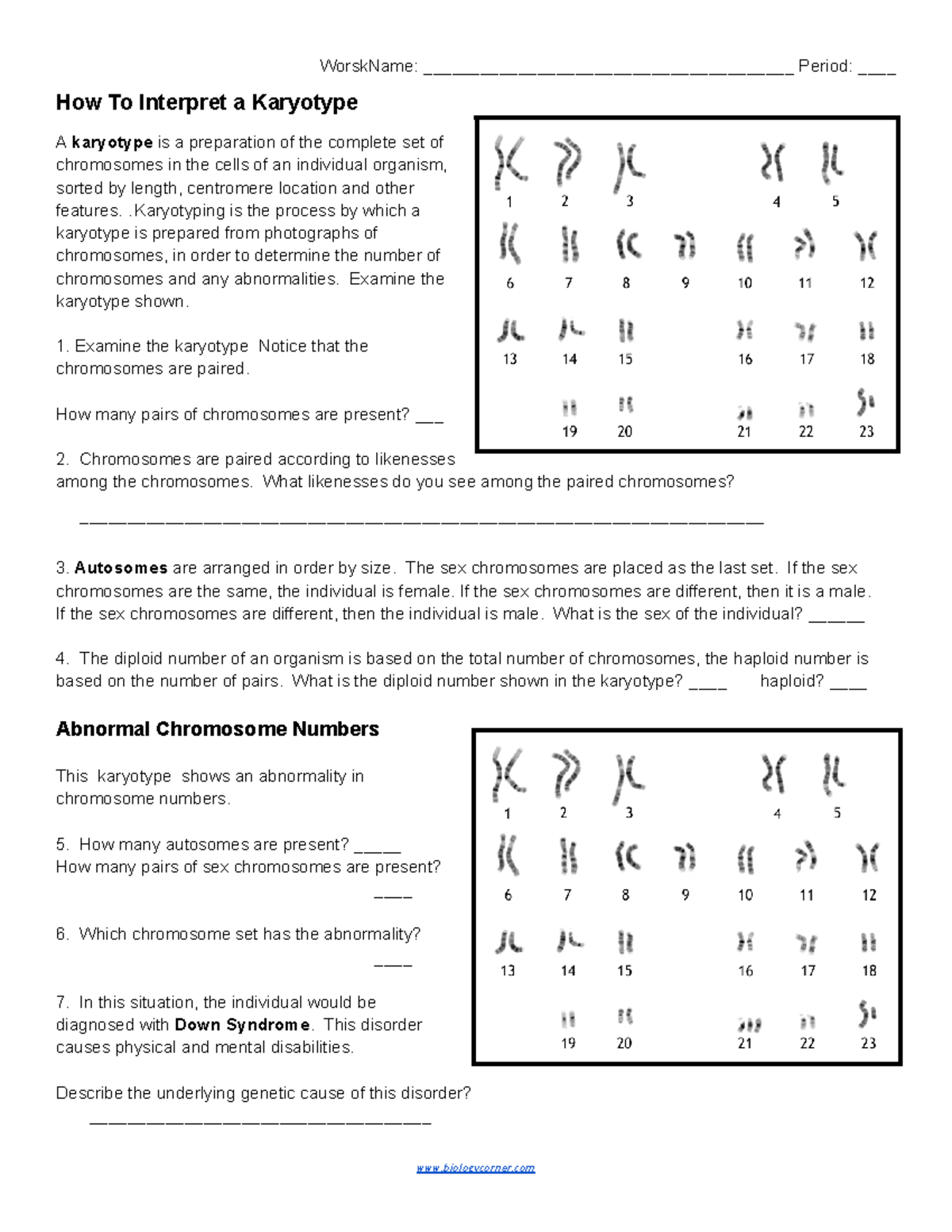 Karyotype Interpretation: Understanding Chromosome Abnormalities - Studocu