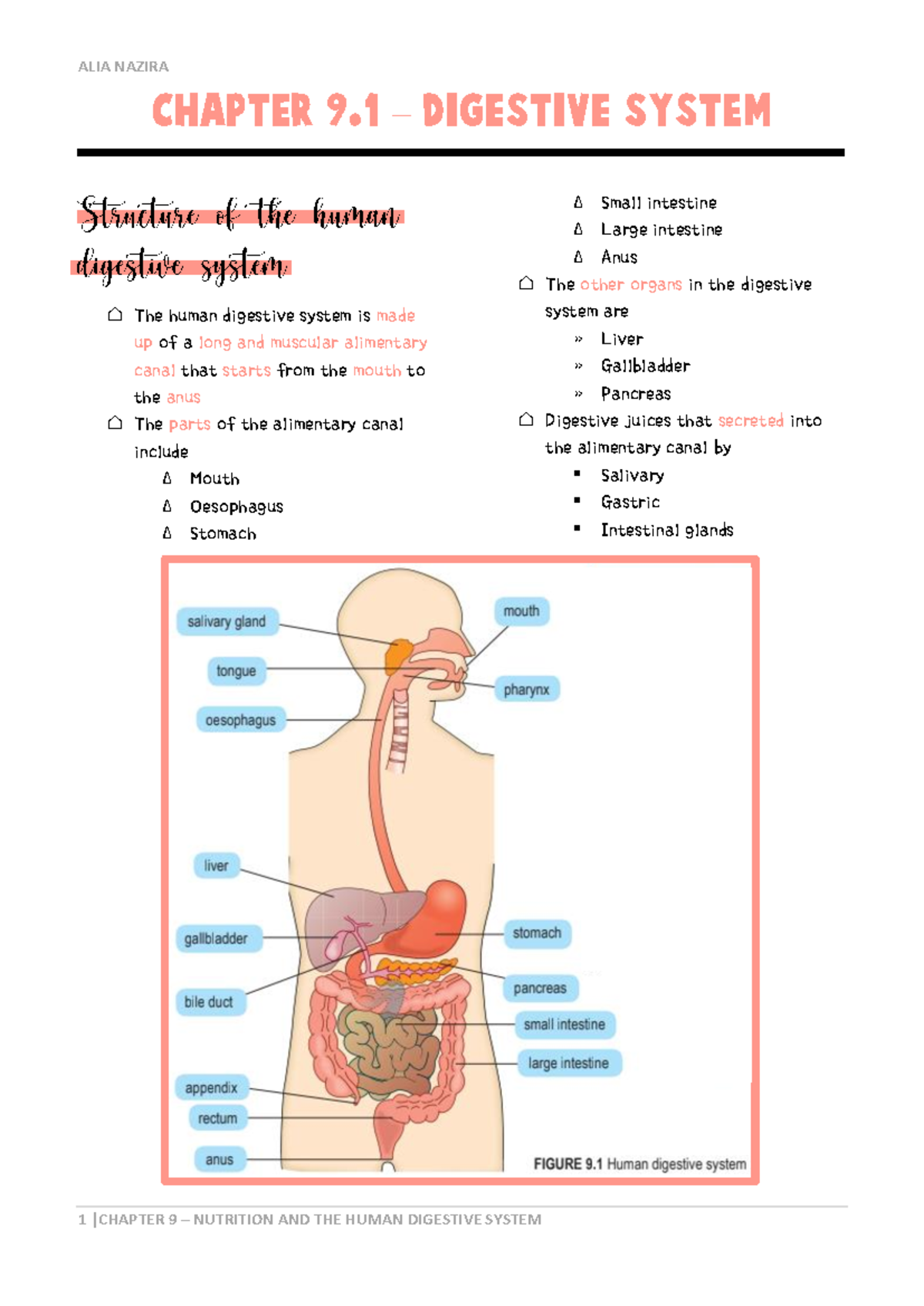 Chapter 9: Nutrition and the Human Digestive System (ALIA NAZIRA) - Studocu