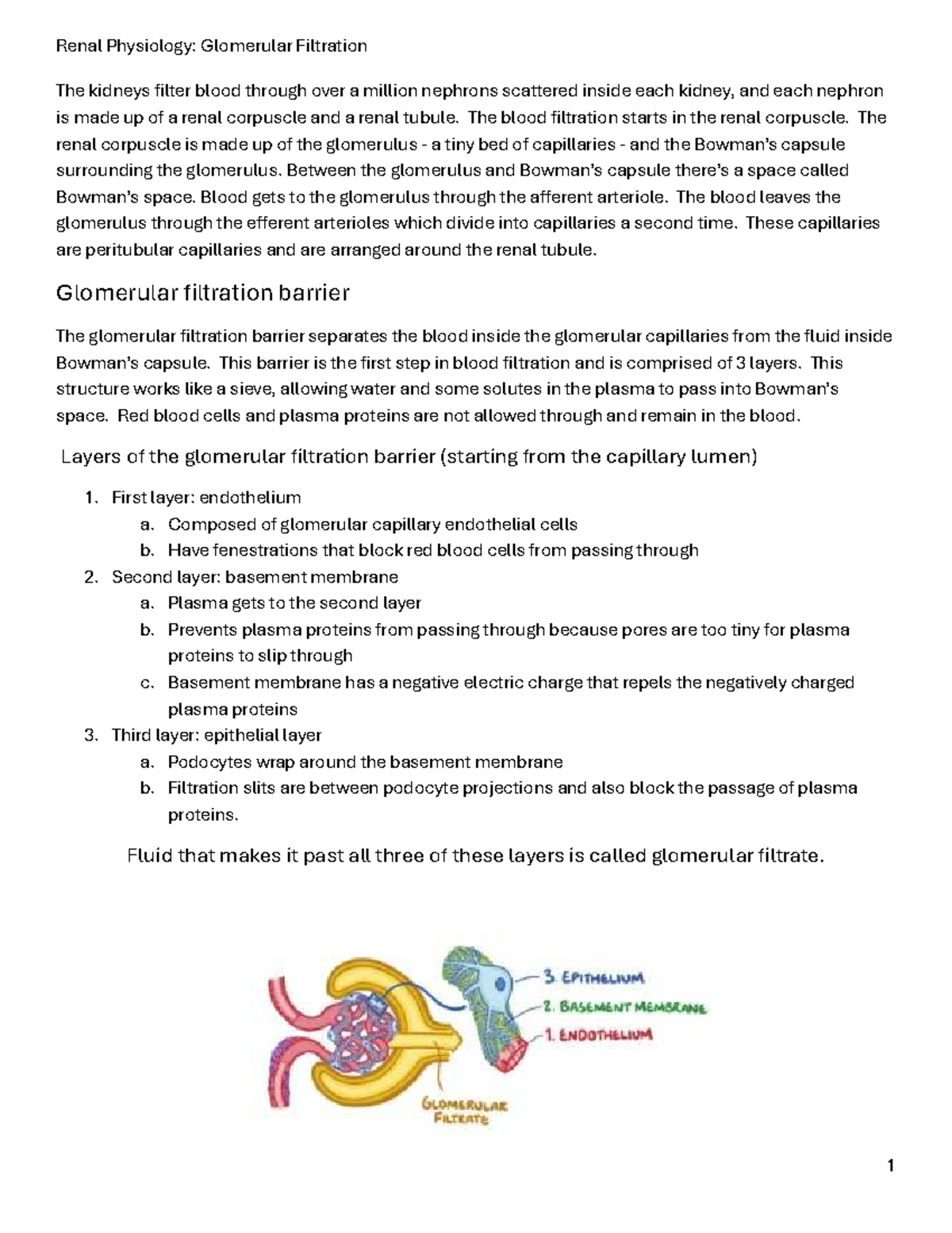 Renal Physiology: Glomerular Filtration Mechanisms and Dynamics - Renal ...