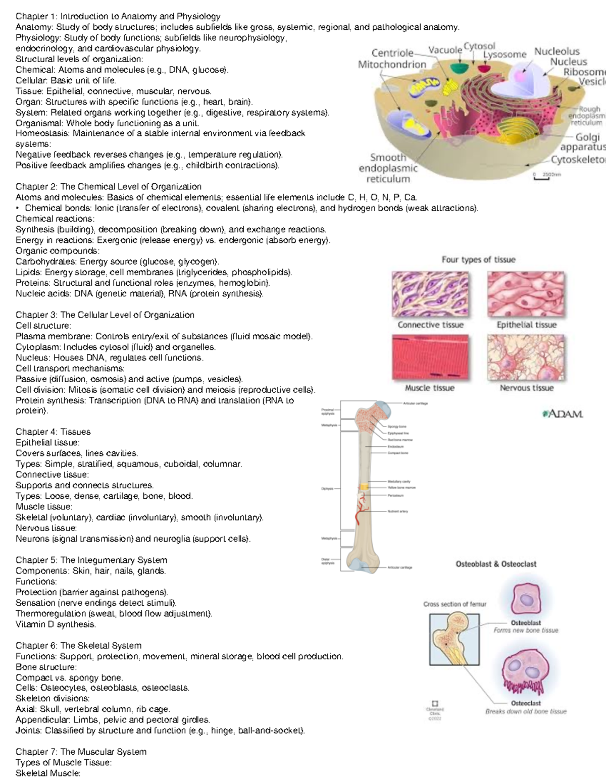 Study guide - Bio235 - Chapter 1: Introduction to Anatomy and ...