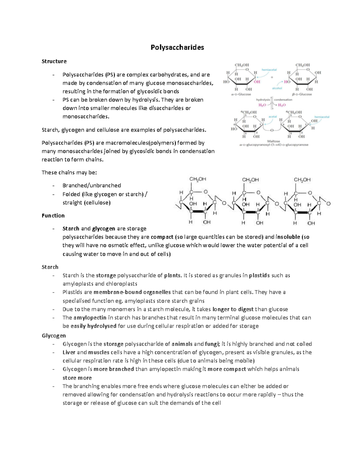 Polysaccharides Structure and Function: A Comprehensive Overview - Studocu