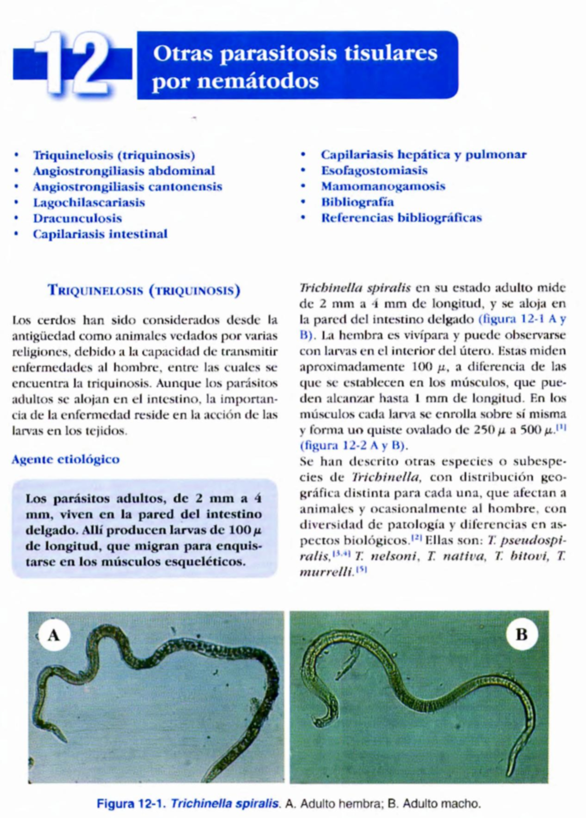Triquinelosis: Estudio de Parásitos y Complicaciones (TRI-101) - Studocu