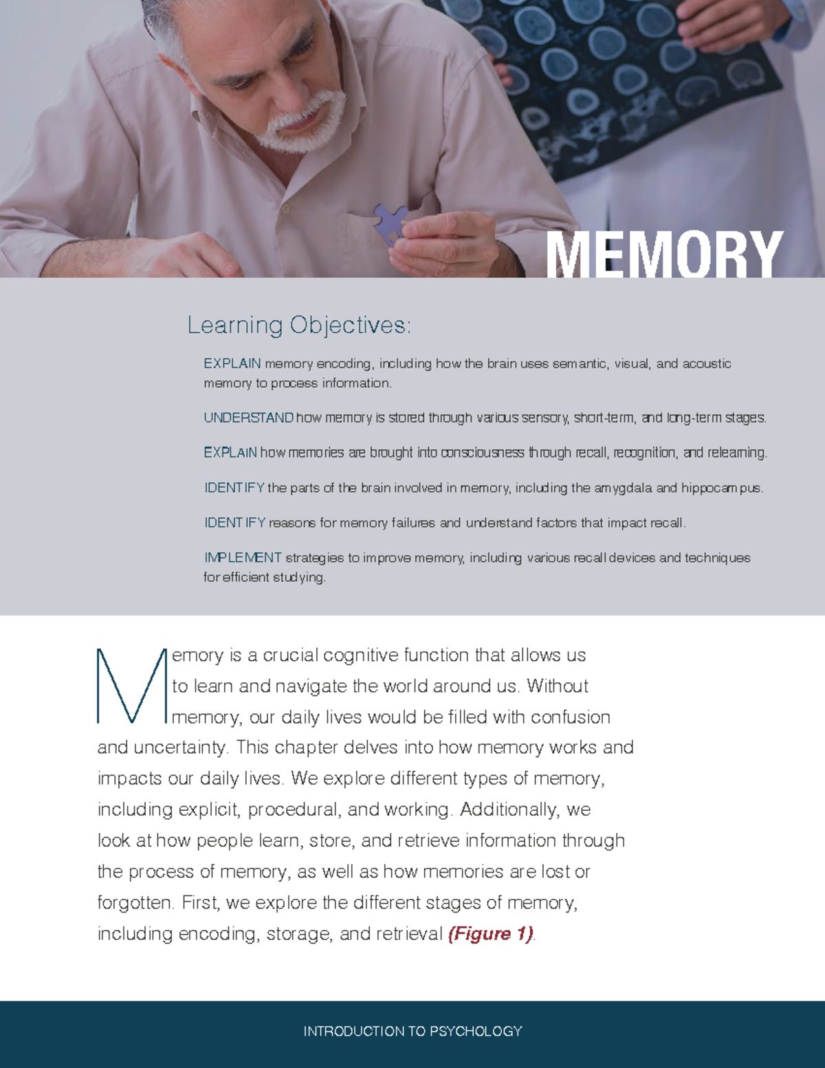 Introduction to Psychology: Memory Chapter - Studocu