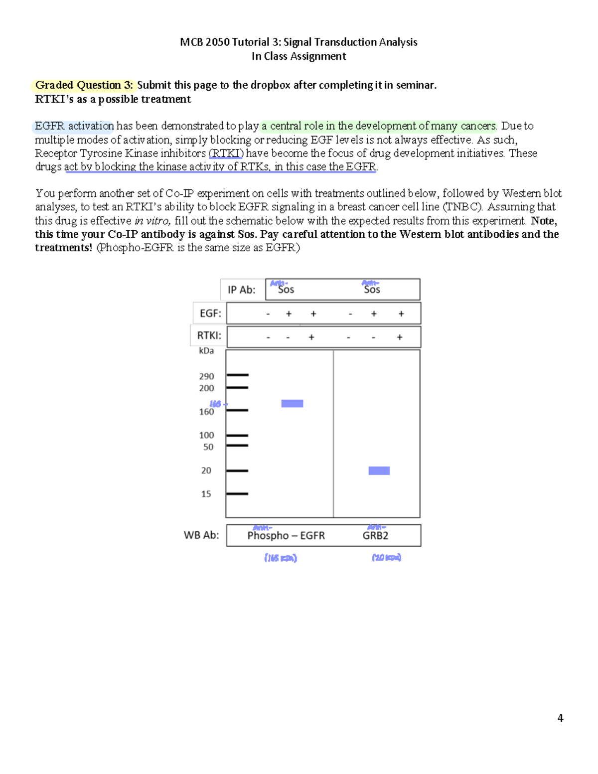 Signal transduction Seminar 3 PDF Version Winter - MCB 2050 Tutorial 3 ...