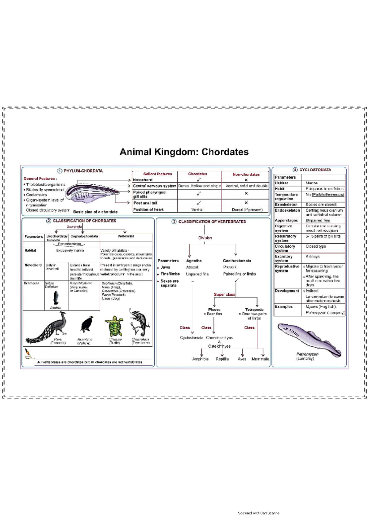 Animal Kingdom: Chordates and Their Classification (4 CYCLOSTOMATA ...
