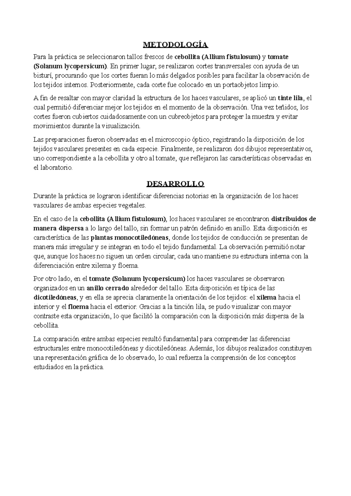 METODOLOGÍA DE OBSERVACIÓN DE TEJIDOS VASCULARES EN BOT 101 - Studocu