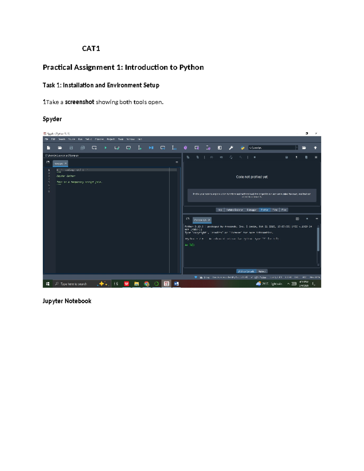 CAT1 Practical Assignment 1: Intro to Python & Environment Setup - Studocu