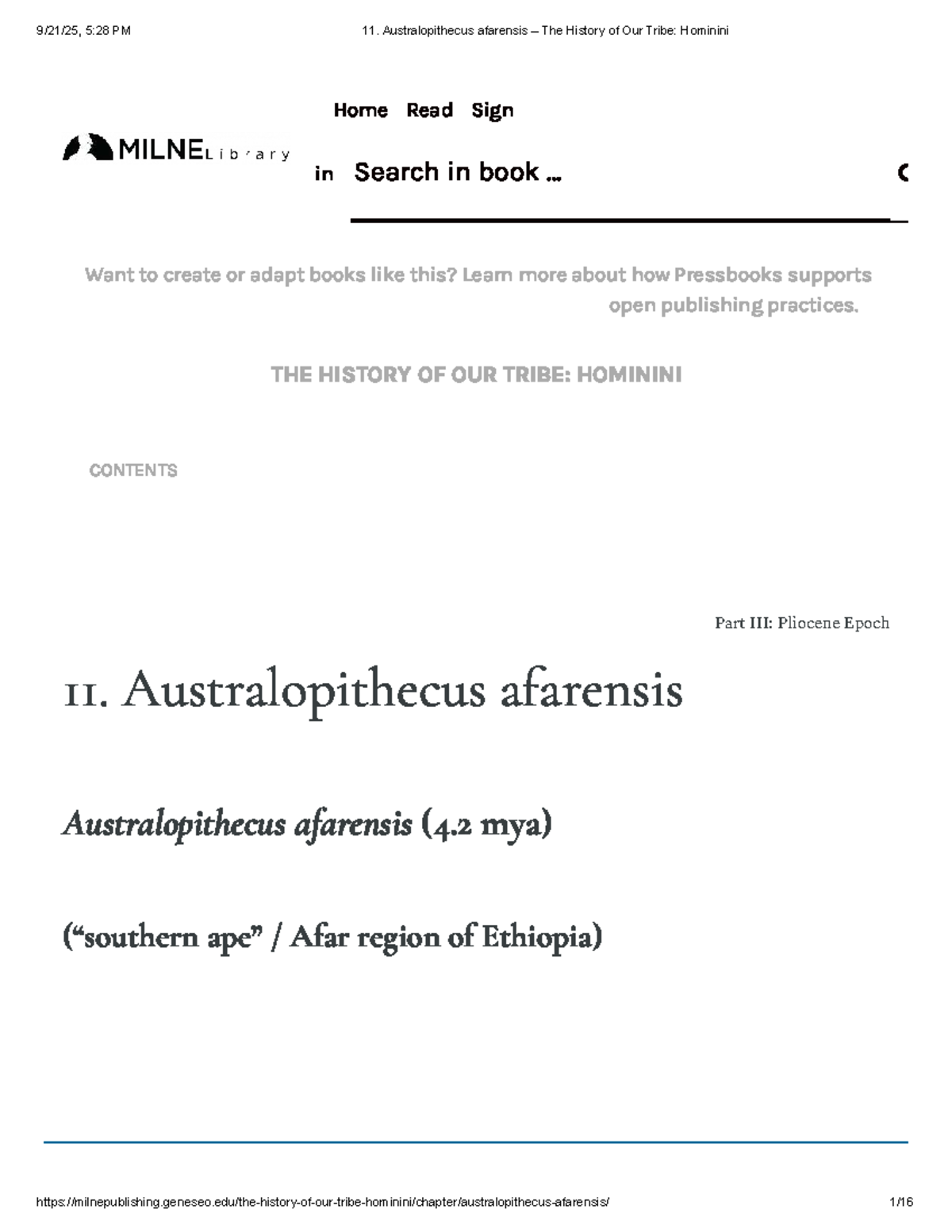 Australopithecus Afarensis: Insights into Our Hominin Ancestor - Studocu