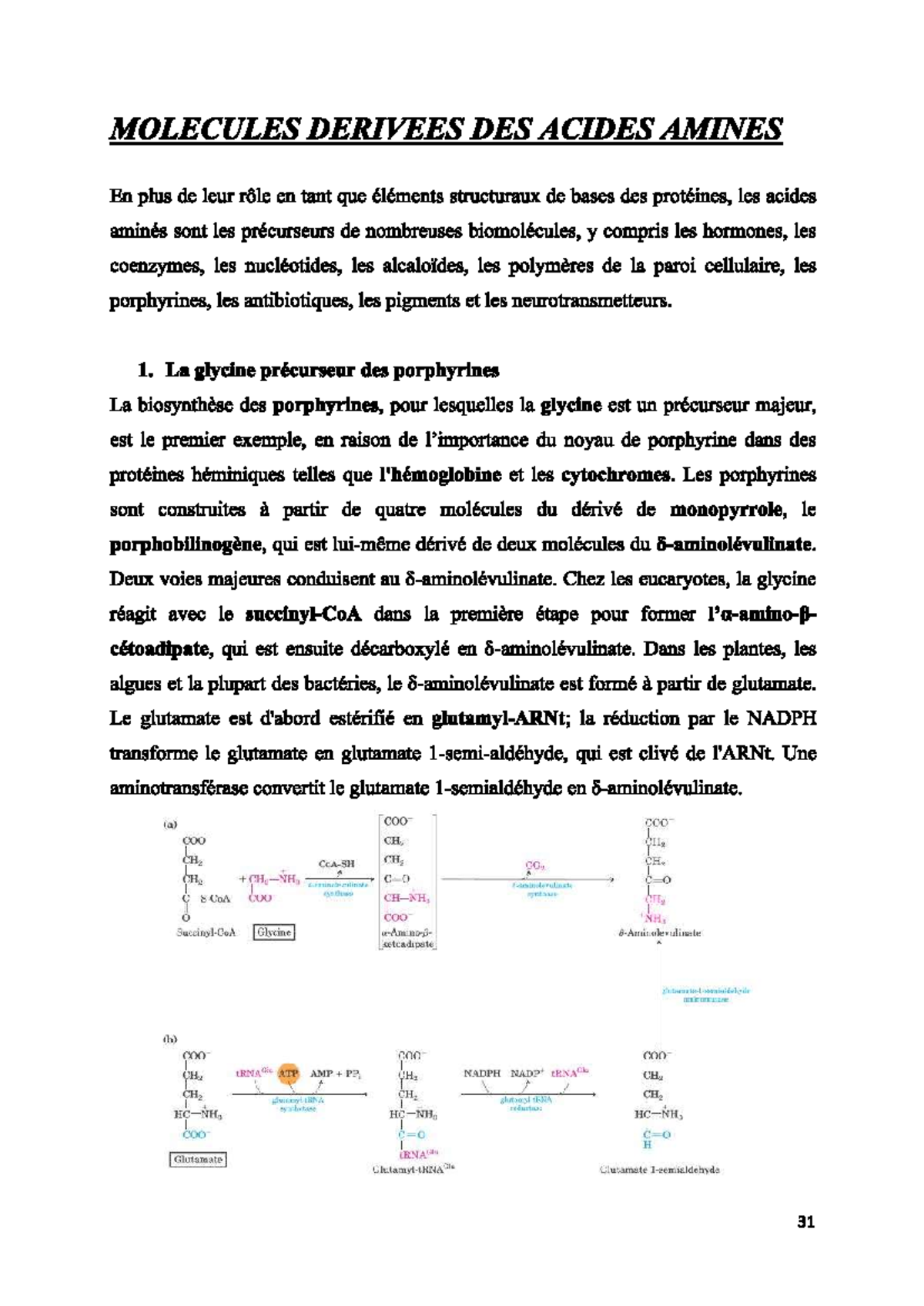 Étude sur les molécules dérivées des acides aminés - Biologie 101 - Studocu