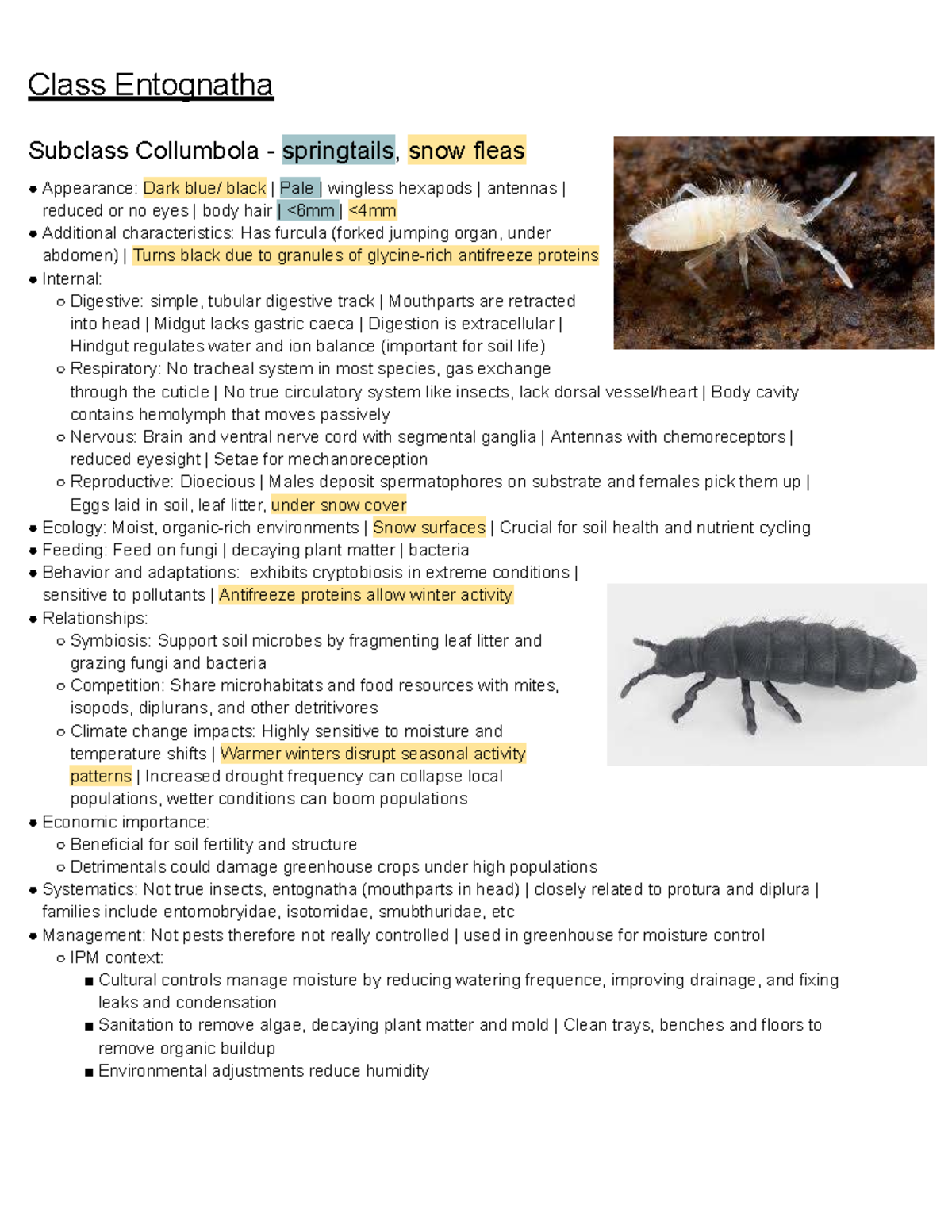 Entomology Scioly: Notes on Class Entognatha & Insecta Characteristics ...