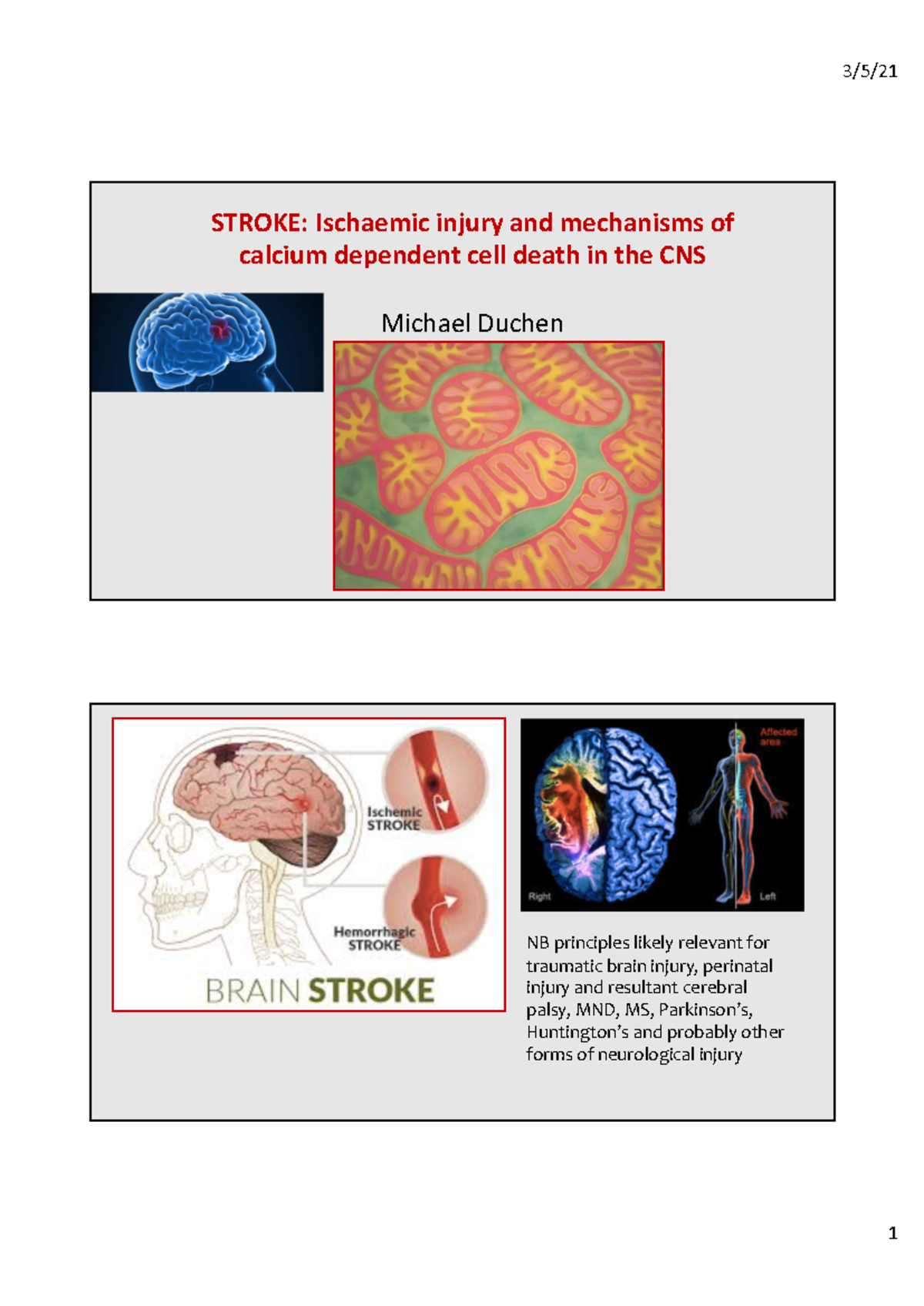 Lecture 17: Ischaemic Injury & Calcium-Dependent Cell Death in CNS ...