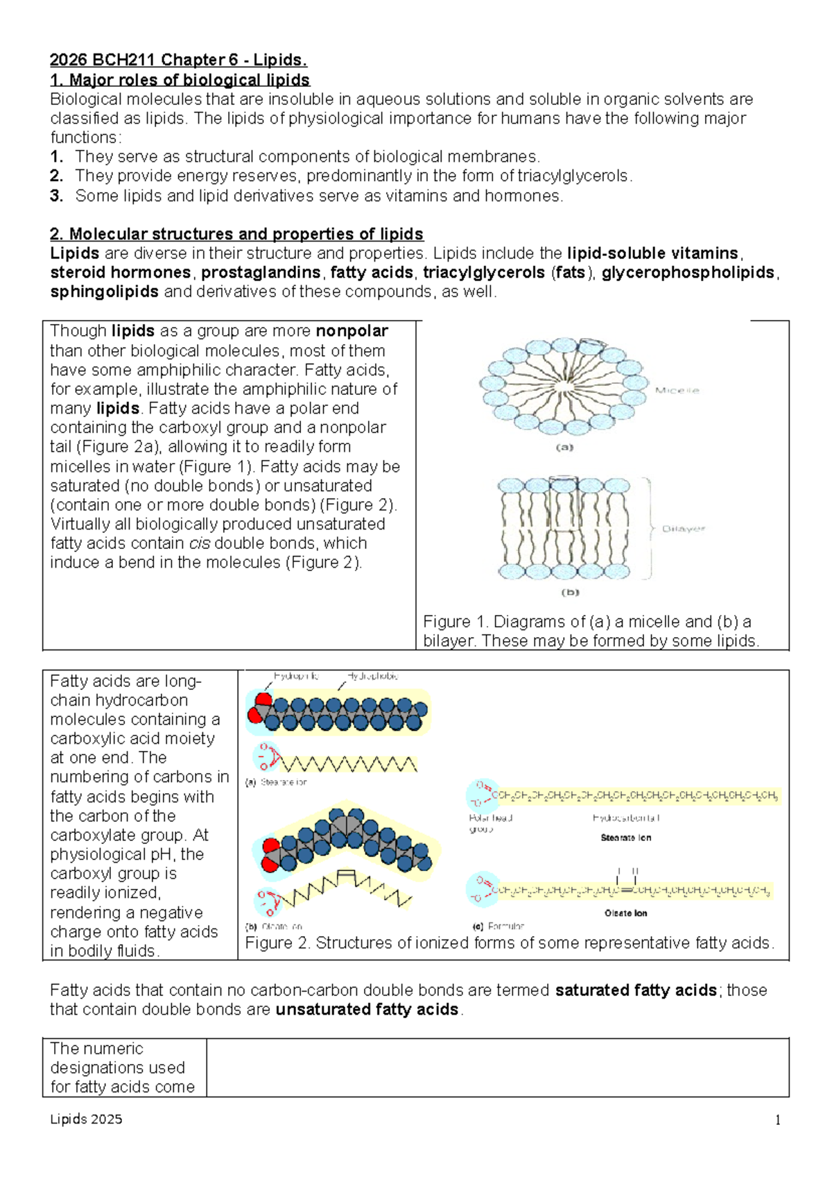 2026 BCH211 Chapter 6: Major Functions and Structures of Lipids - Studocu