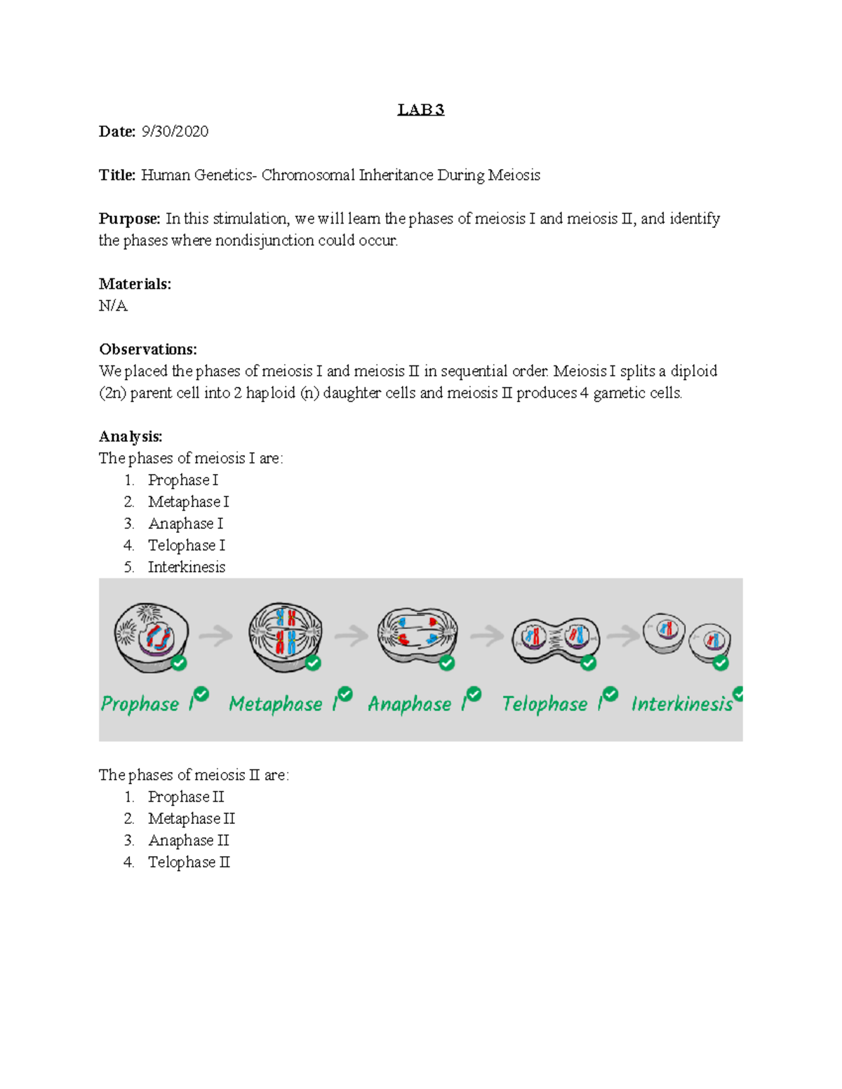Human Genetics - Chromosomal Inheritance During Meiosis - LAB 3 Date: 9 ...