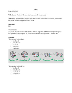 Blood - Differential White Blood Cell Count - LAB 2 Date: 11/25/ Title ...