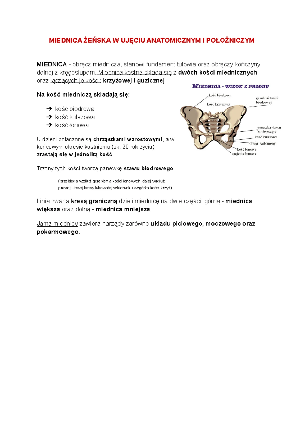 Naturalne Otwory Miednicy - Anatomia 1 - Dr Twardokęs - Studocu