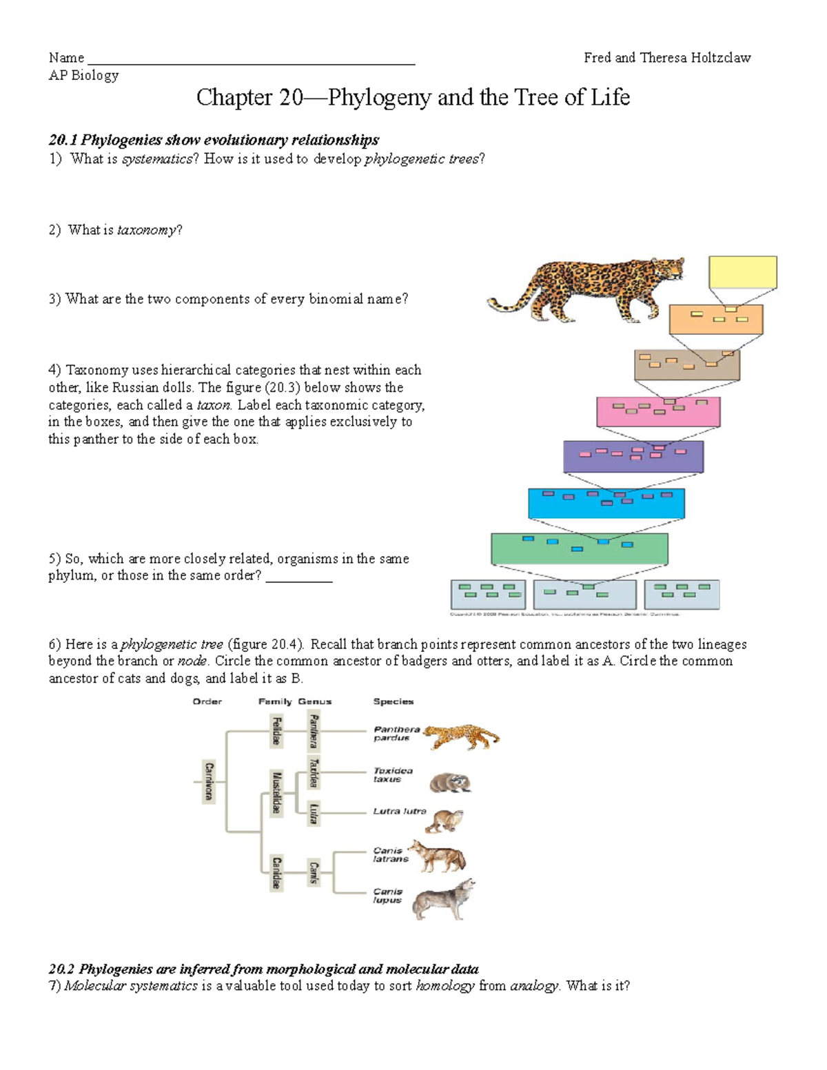 Chapter 20 Guided Reading BIF 1: Phylogeny and the Tree of Life - Studocu