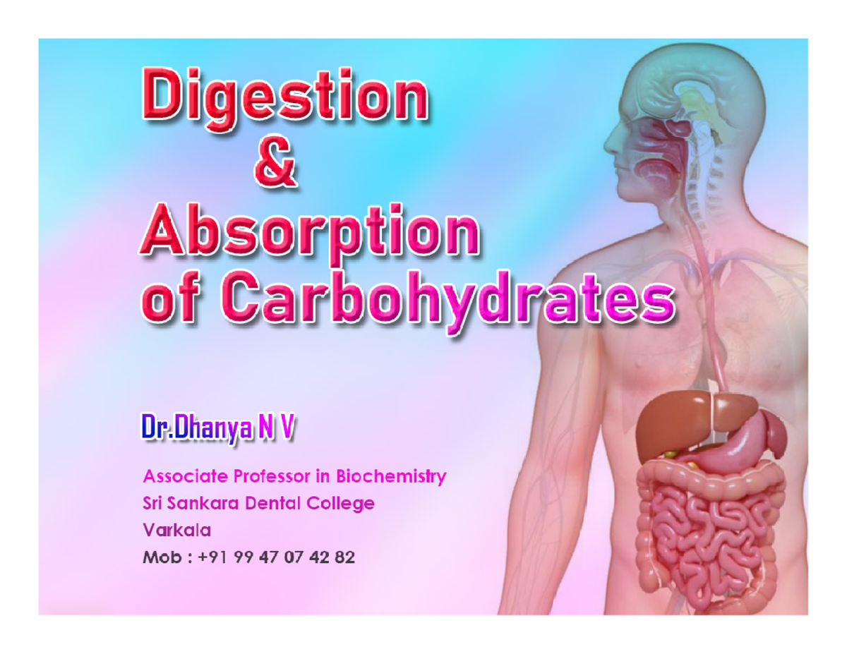Digestion and absorption - Digestion of Carbohydrates The process of ...