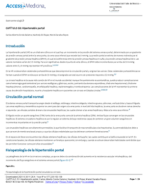 Láminas de Rexed - Láminas de Rexed Las láminas de Rexed son una ...