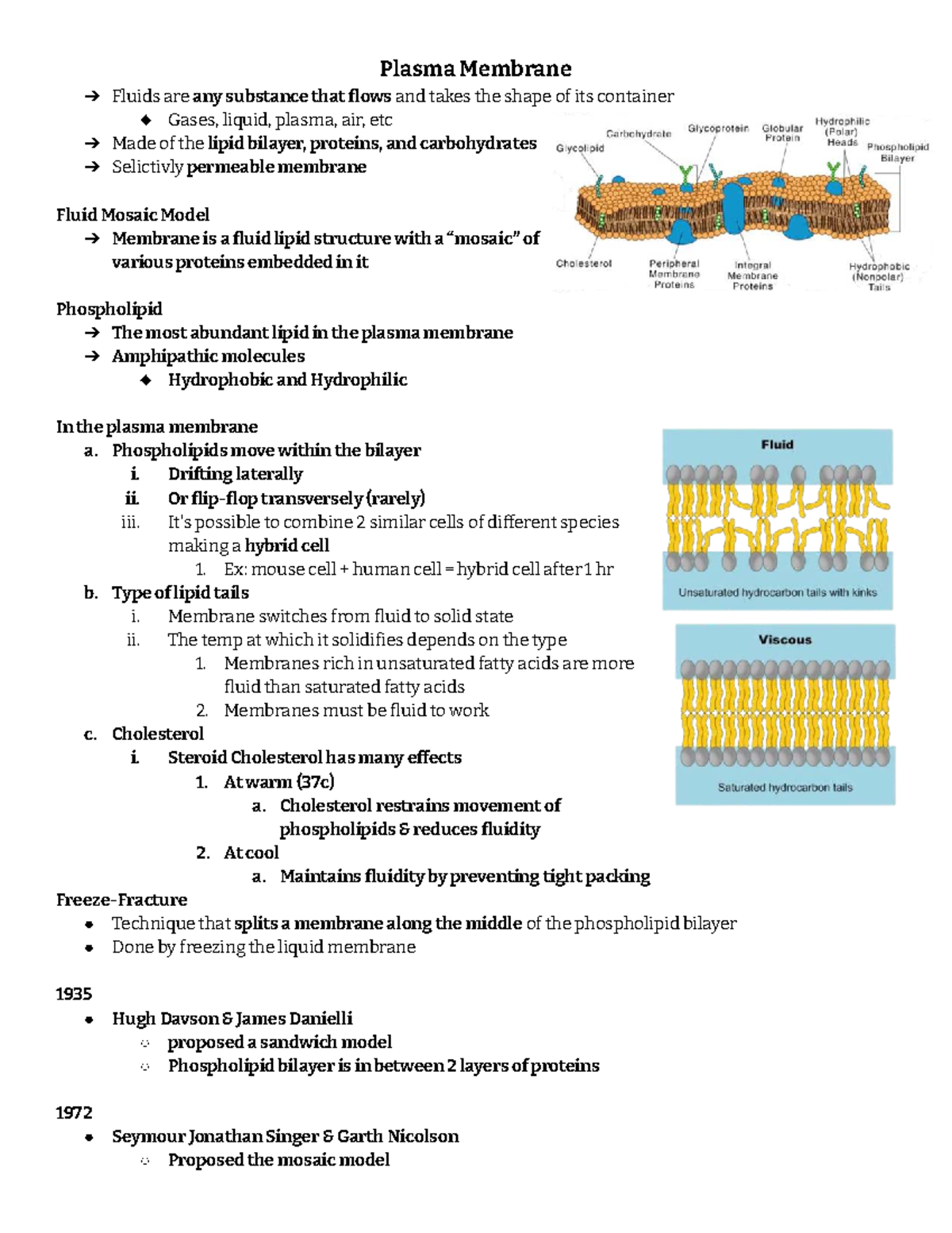 Bio 101: Plasma Membrane Structure and Function Review Notes - Studocu