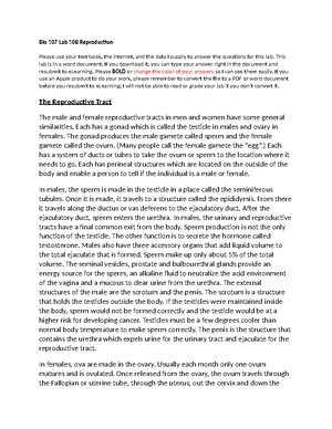 Stevie Wonder final project - Copy - Stevie Wonder, a prominent figure ...