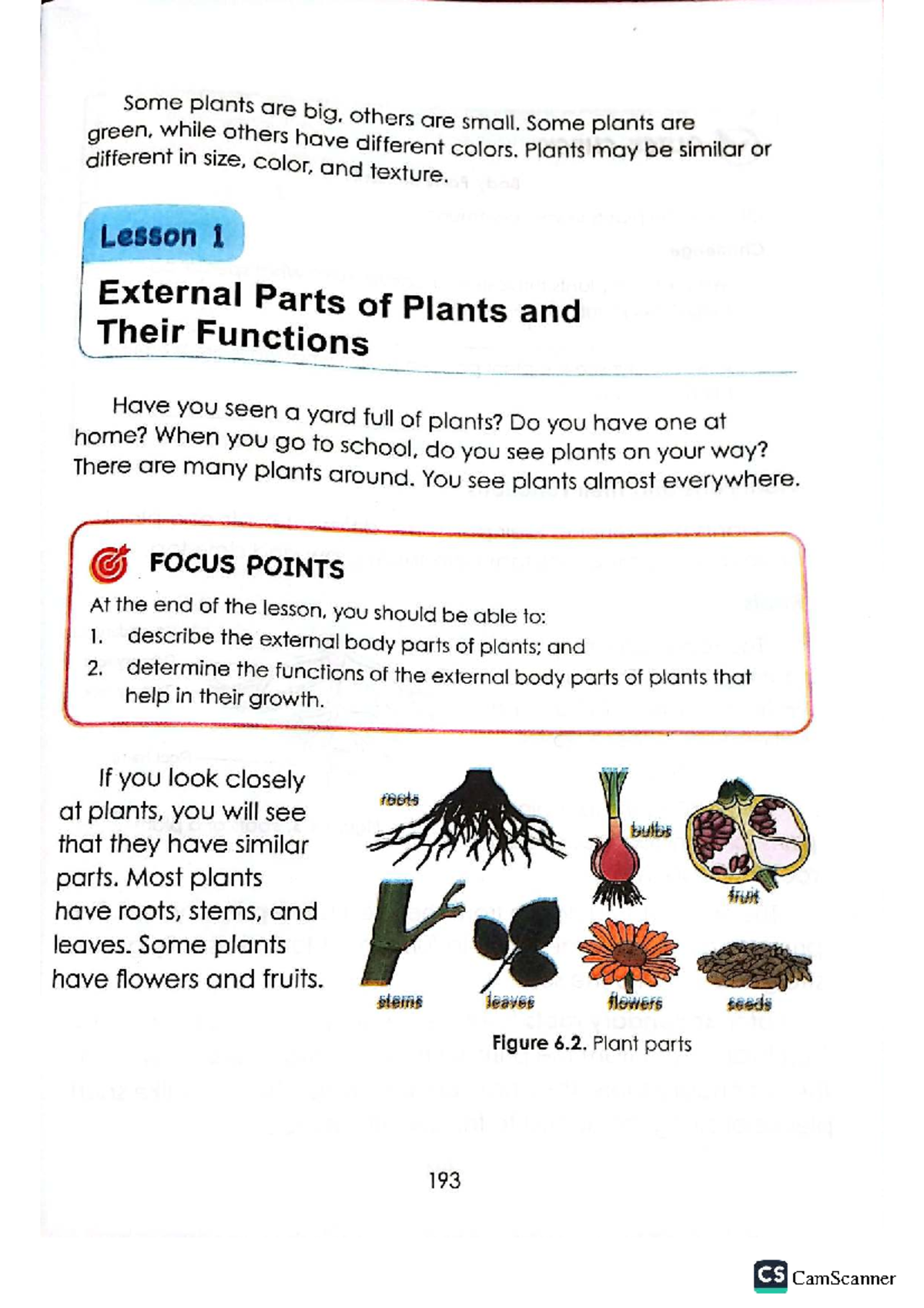 CS 1: Lesson 1 - External Parts of Plants and Their Functions - Studocu