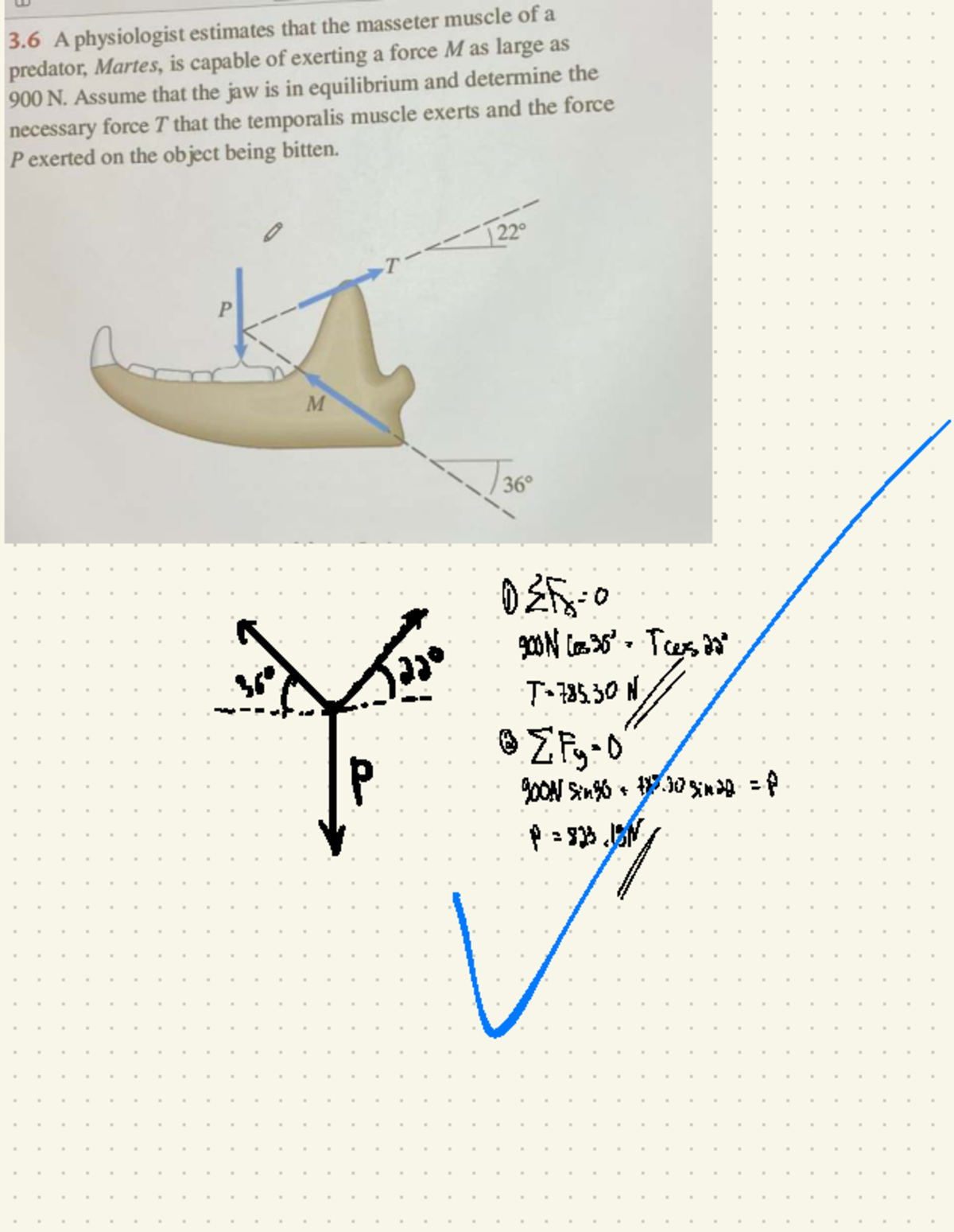 Tutorial 4: Force Analysis of Martes' Masseter Muscle - Studocu