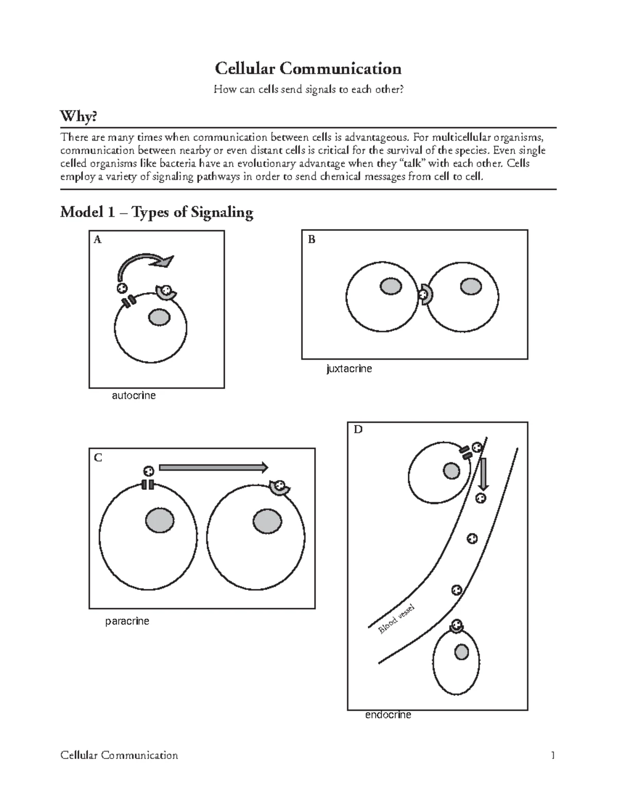 Amoeba Sisters Final Exam: Recap of Human Body Systems Overview - Studocu