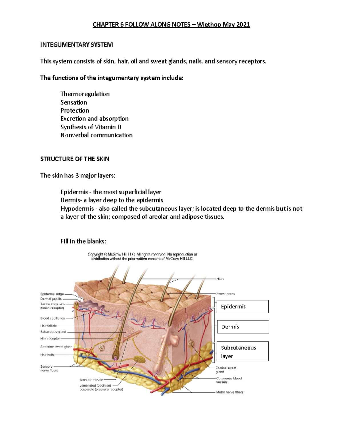 Chapter 6 weekly assignment - INTEGUMENTARY SYSTEM This system consists ...