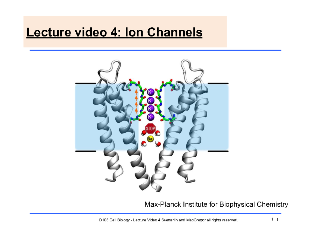 D103 Cell Biology - Lecture Video 4: Ion Channels & Transport - Studocu