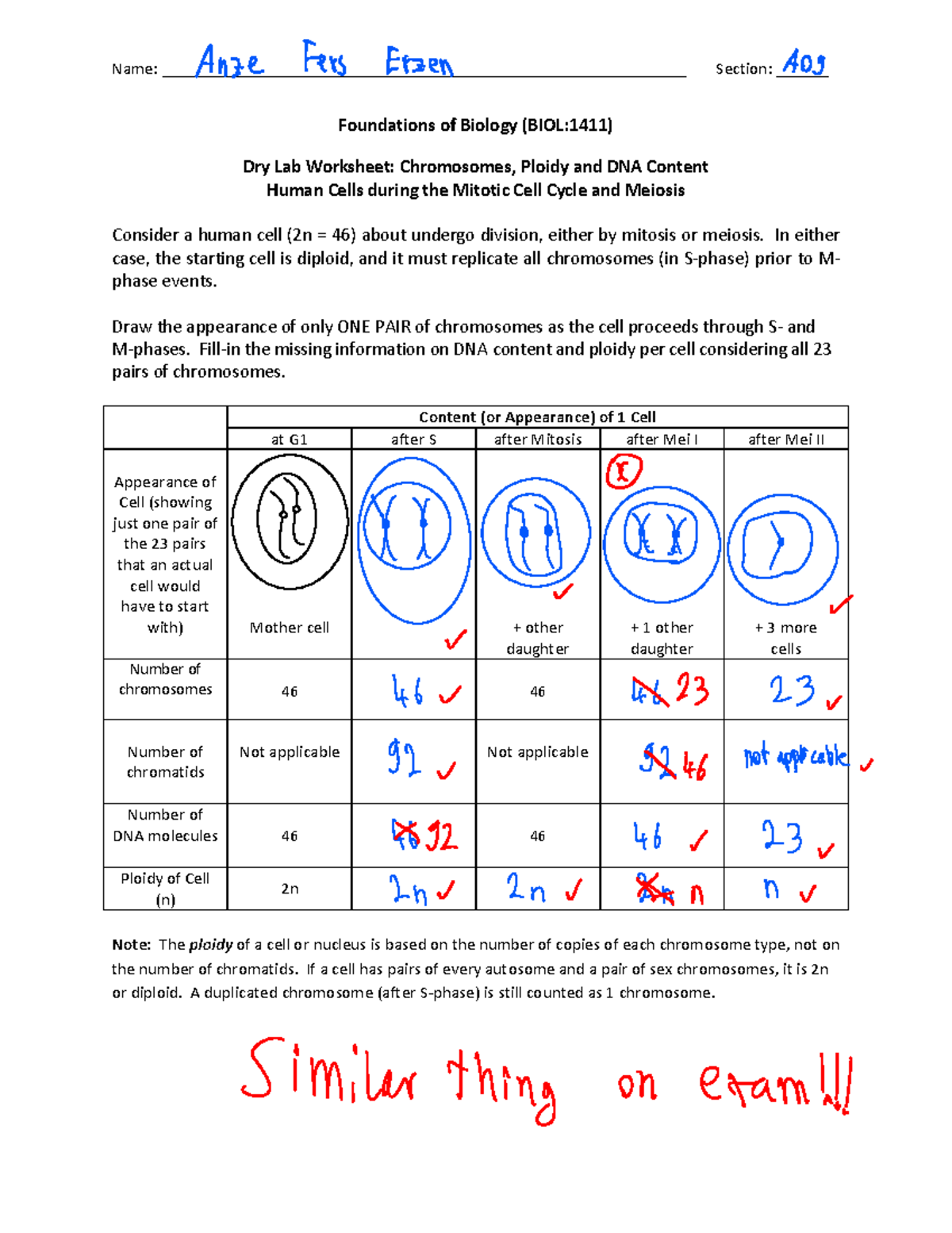 Worksheet on Chromosomes, Ploidy, and DNA Content (BIOL:1411) - Studocu