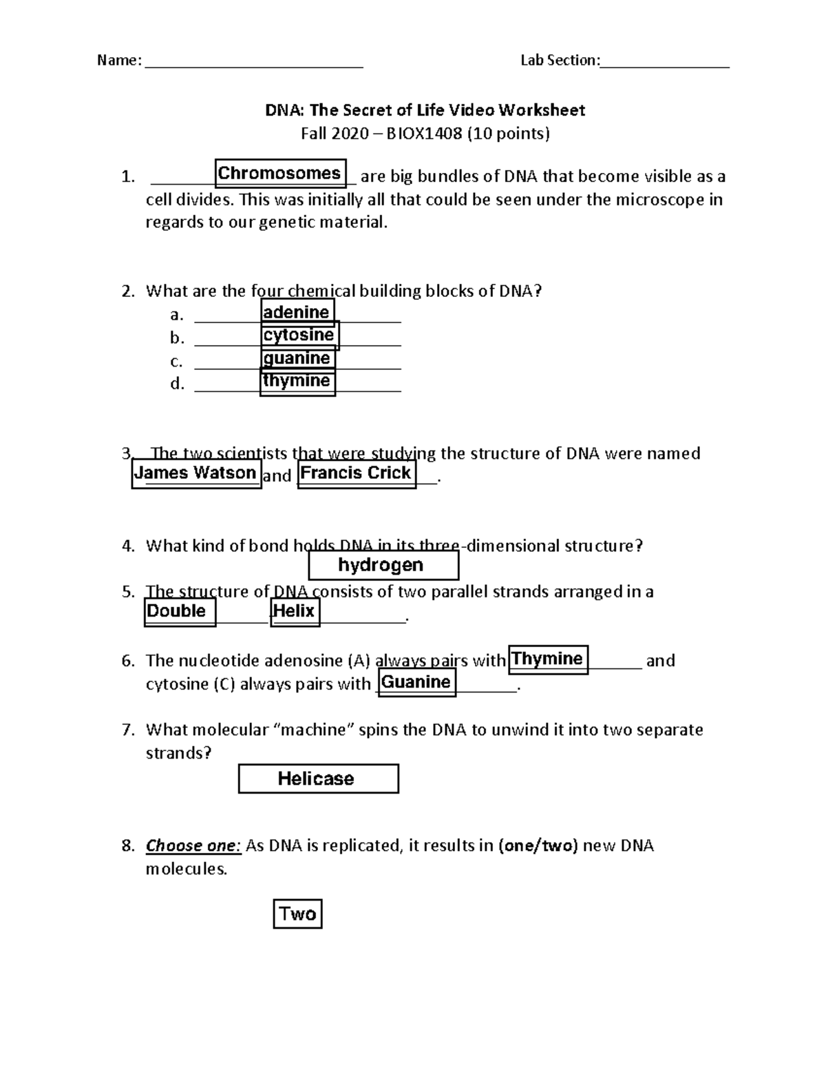 Pbs Dna The Secret Of Life Worksheet 2001 VIDEO CATALOG Clinton