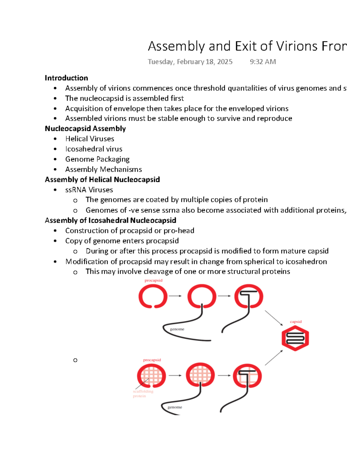 Virion Assembly and Exit Mechanisms in Cellular Context - Studocu