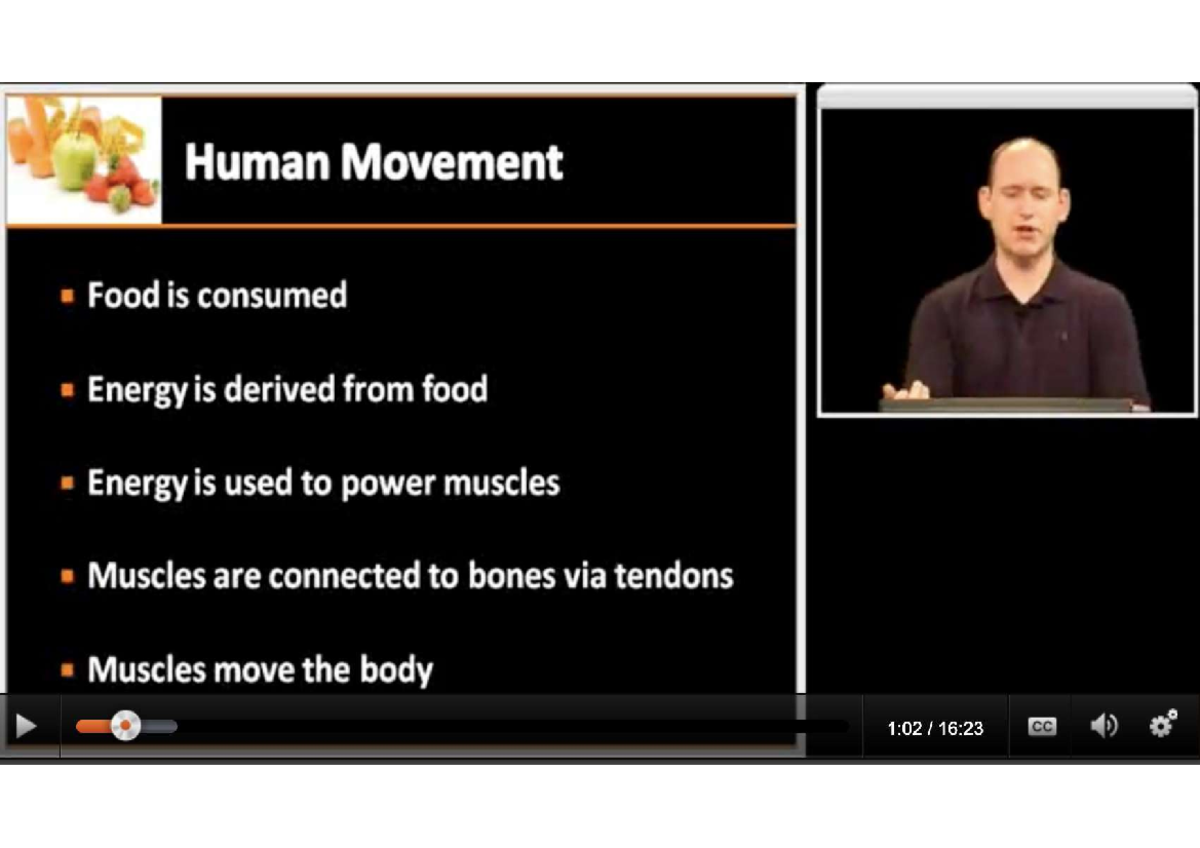 KINE 101: Human Movement and Energy Dynamics Overview - Studocu