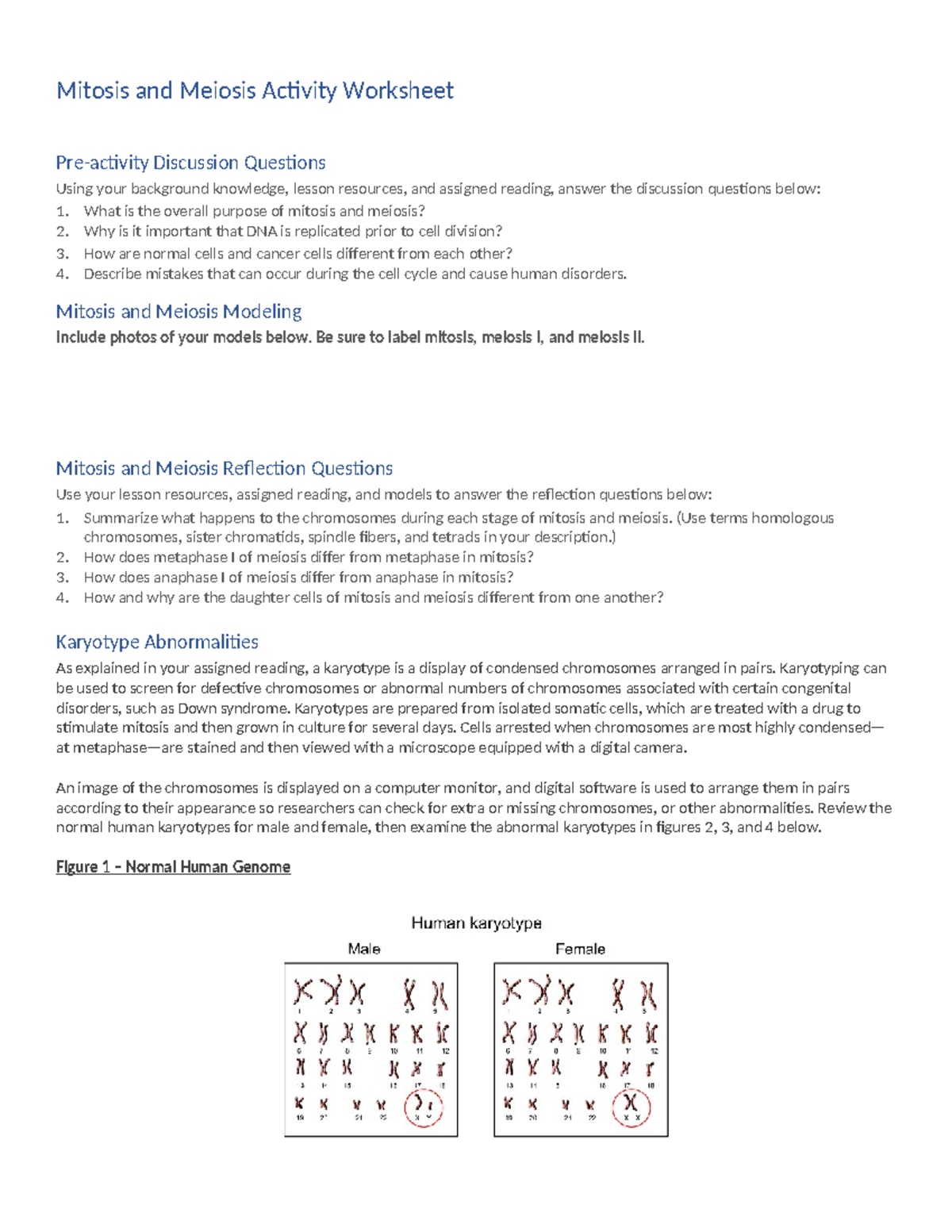 Mitosis & Meiosis Activity Worksheet: Understanding Cell Division ...