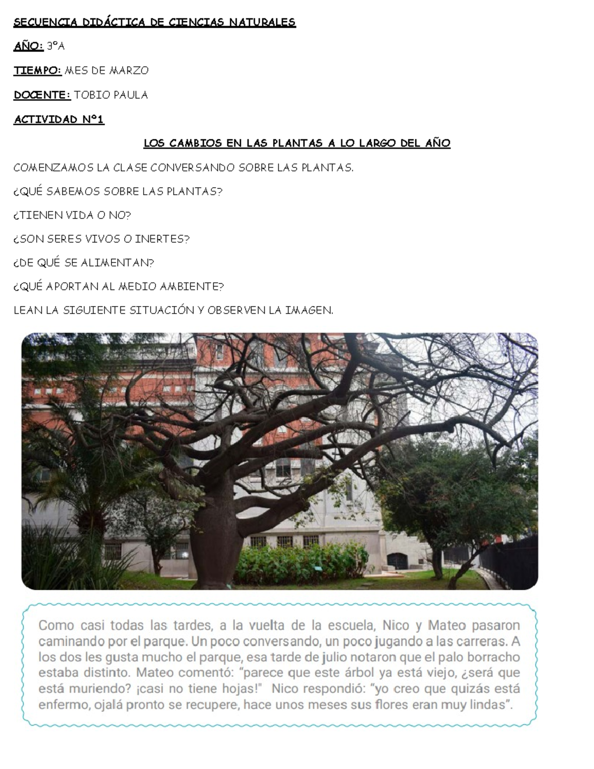 Las plantas a lo largo del año - SECUENCIA DIDÁCTICA DE CIENCIAS ...