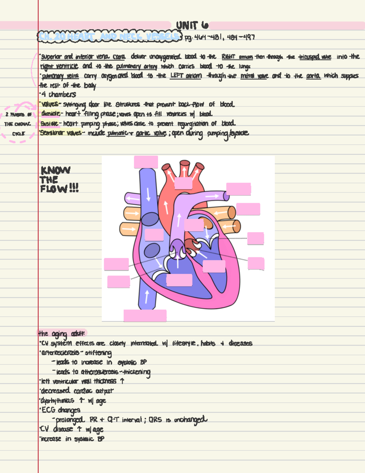 Cardiac - UNIT L ·ART AMESSELS pg. 444 481 , 484 - 497 · superior and ...