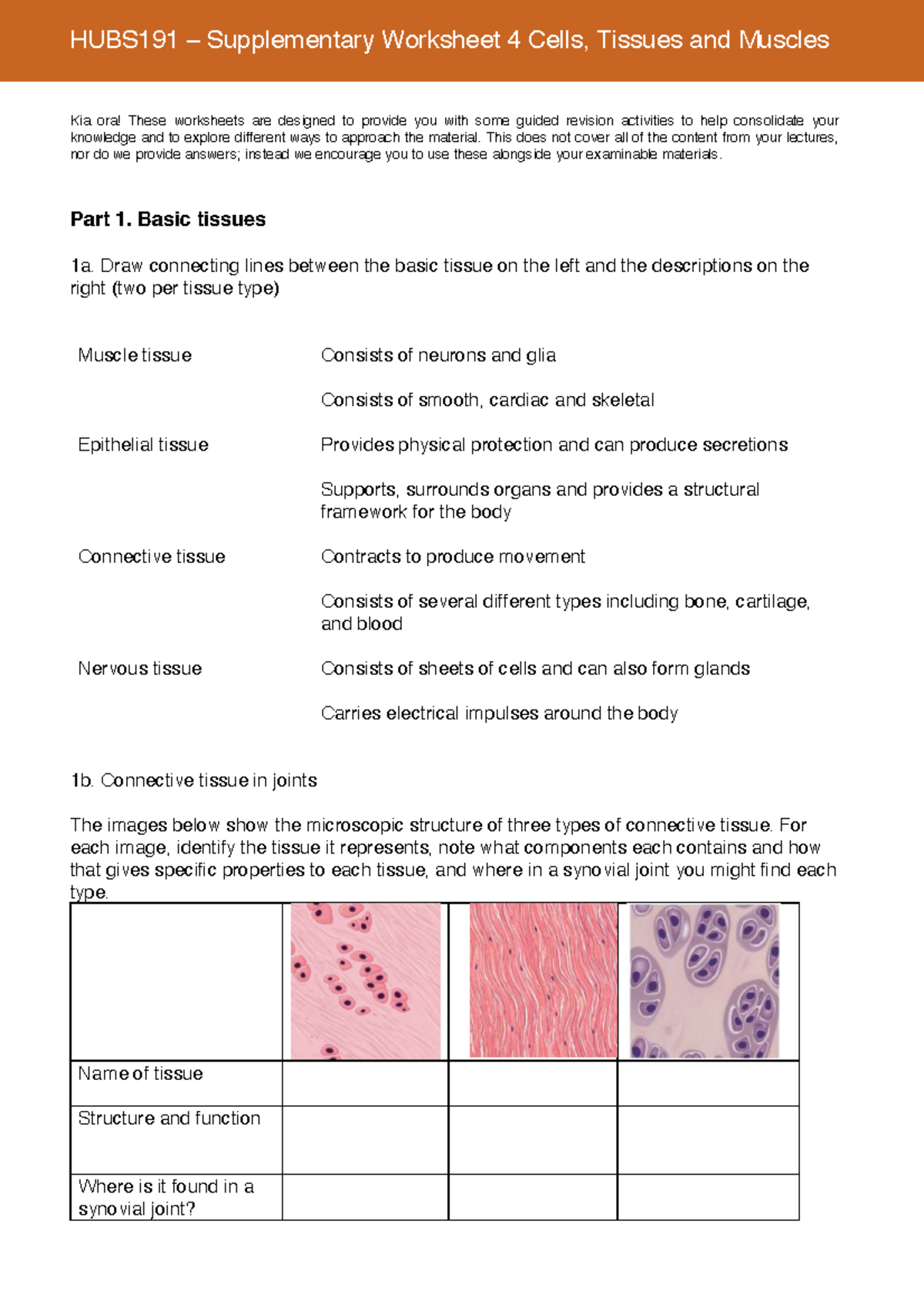HUBS191 Supplementary Worksheet 4: Cells, Tissues & Muscles Overview ...