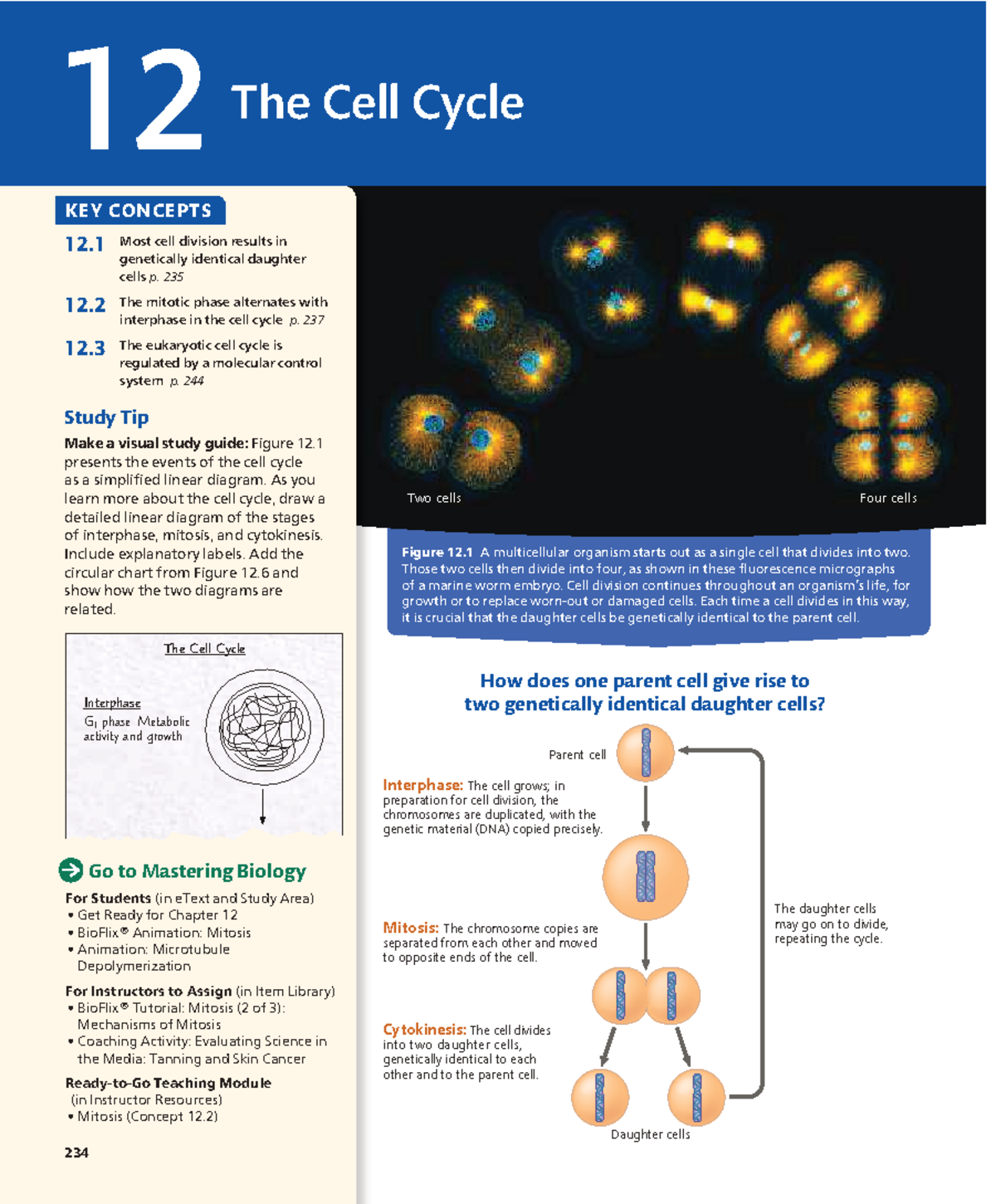 Chapter 13: Meiosis and Sexual Life Cycles - Key Concepts and Insights ...