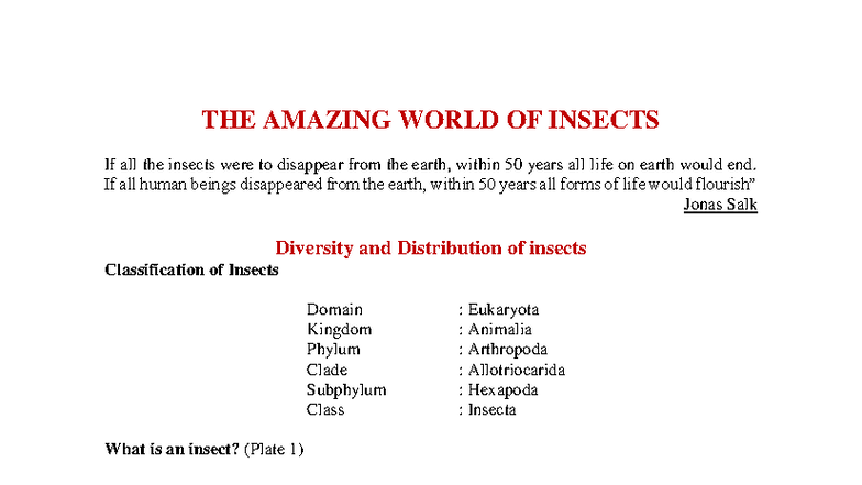 The Amazing World of Insects: Diversity and Classification - Studocu