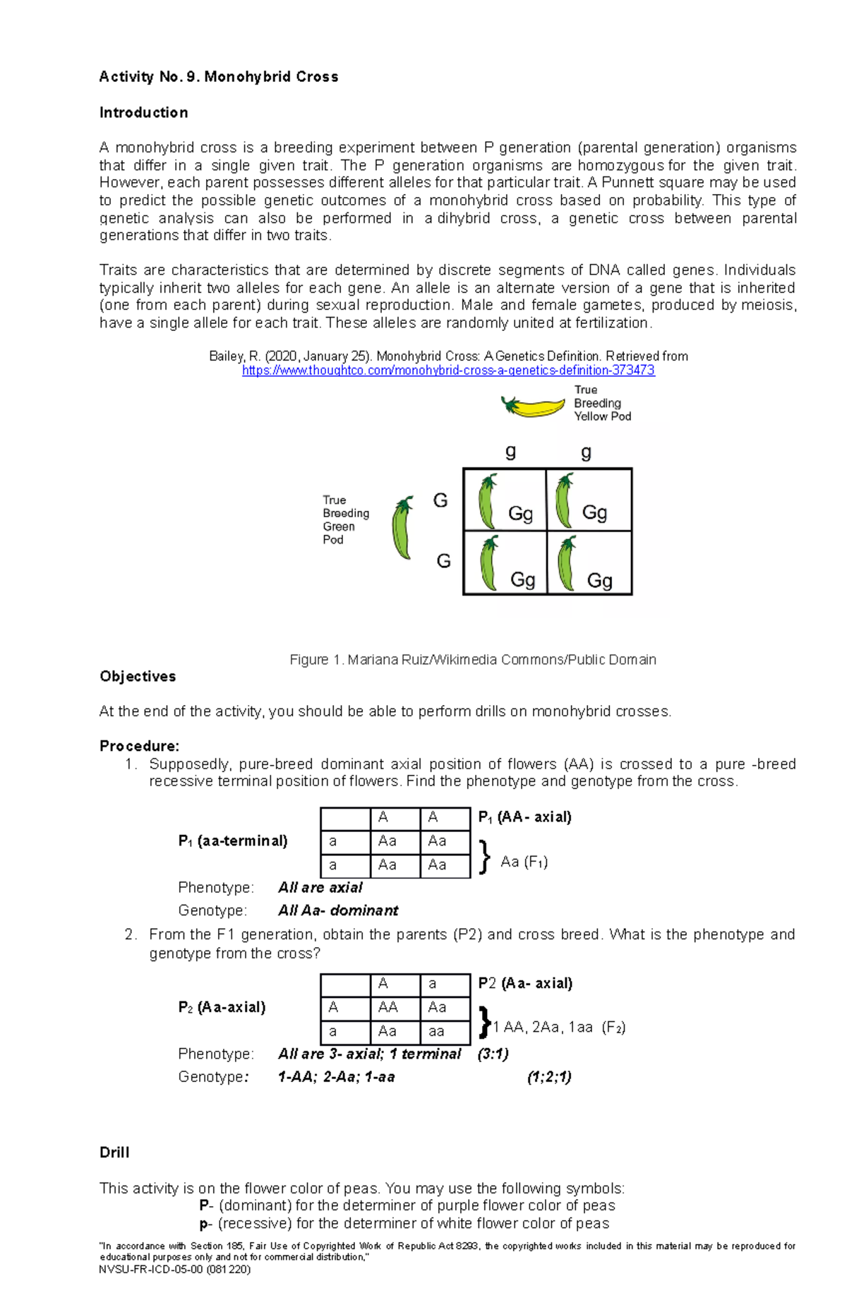Activity No. 9: Understanding Monohybrid Cross in Genetics - Studocu