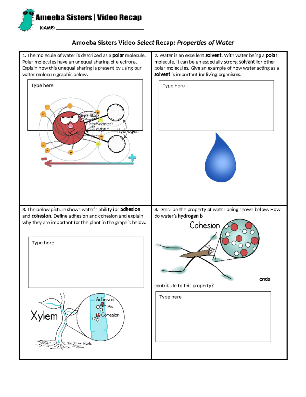Amoeba Sisters Properties of Water Worksheet: Key Concepts & Recap ...