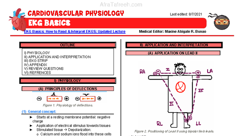 EKG Basics: How to Read & Interpret EKGs - Updated Lecture Notes - Studocu