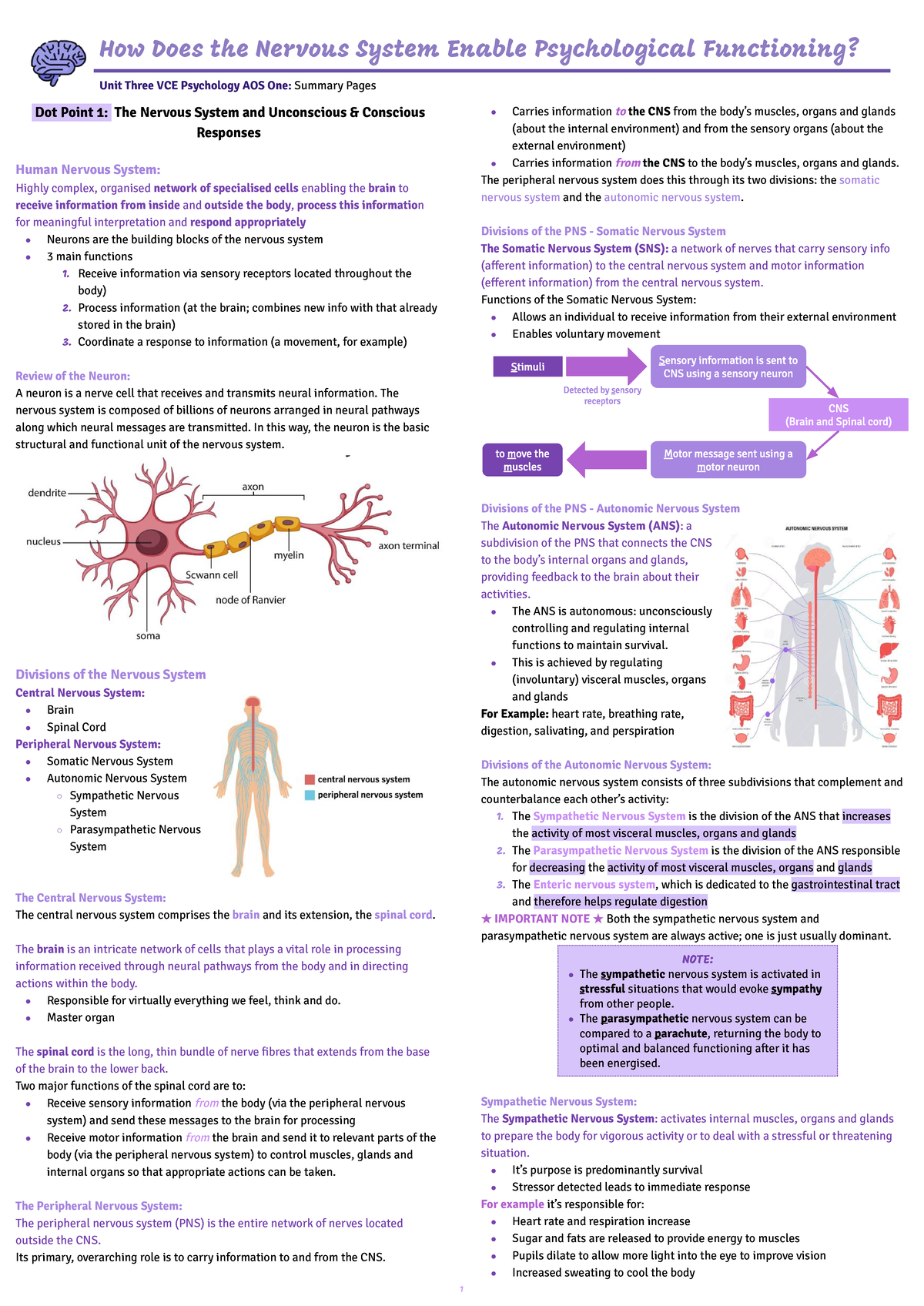 How the Nervous System Supports Psychological Functioning - VCE Psychology AOS - Studocu